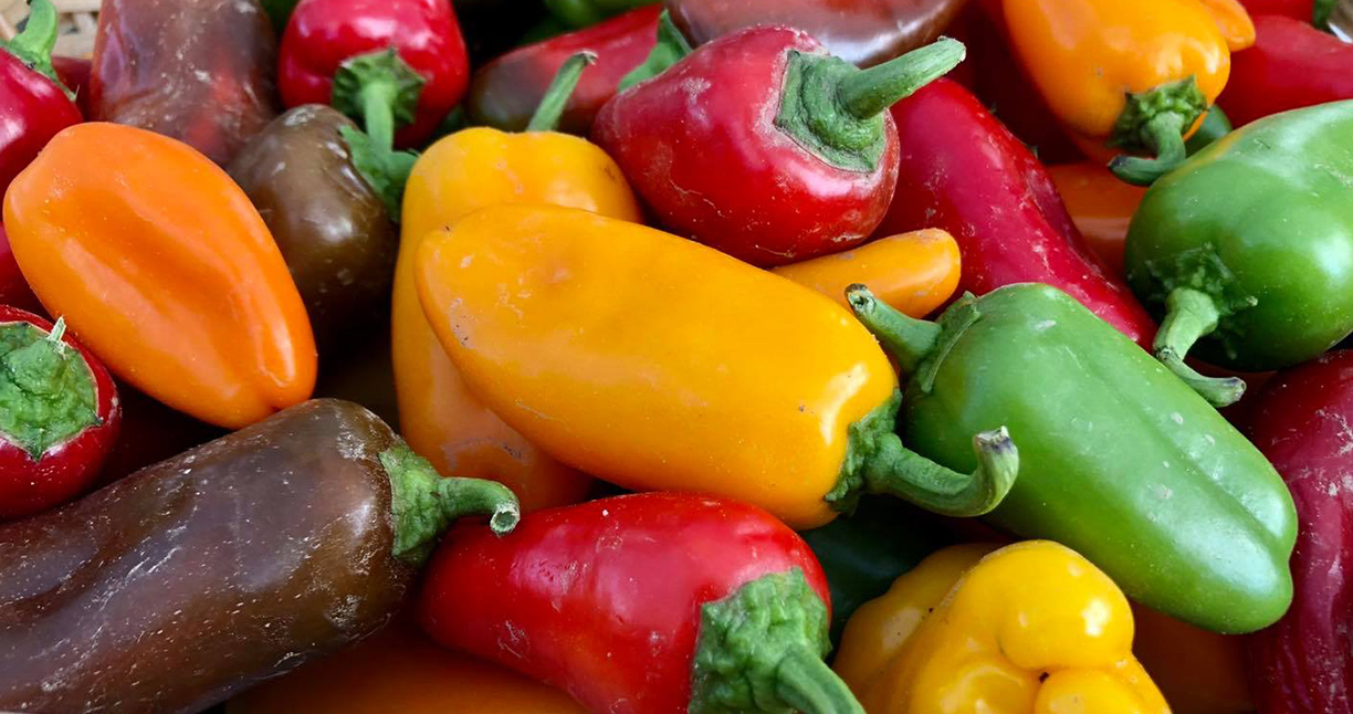 Spruce Street Market Hosts Another Successful Season - Better Manchester